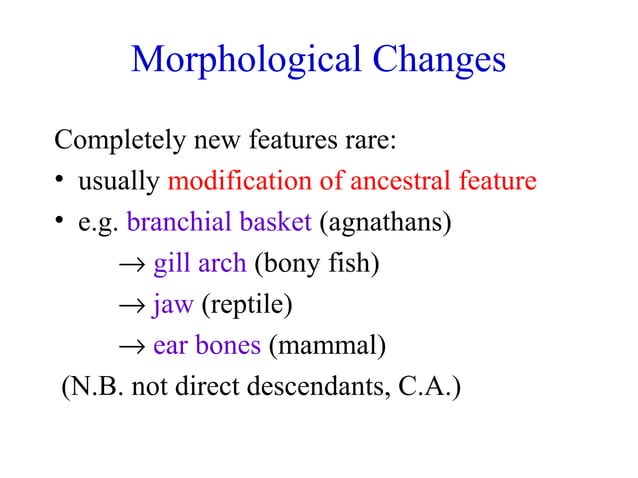 Lecture 20: Morphological Changes in Macroevolution | PPT