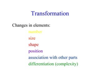 Lecture 20: Morphological Changes in Macroevolution | PPT