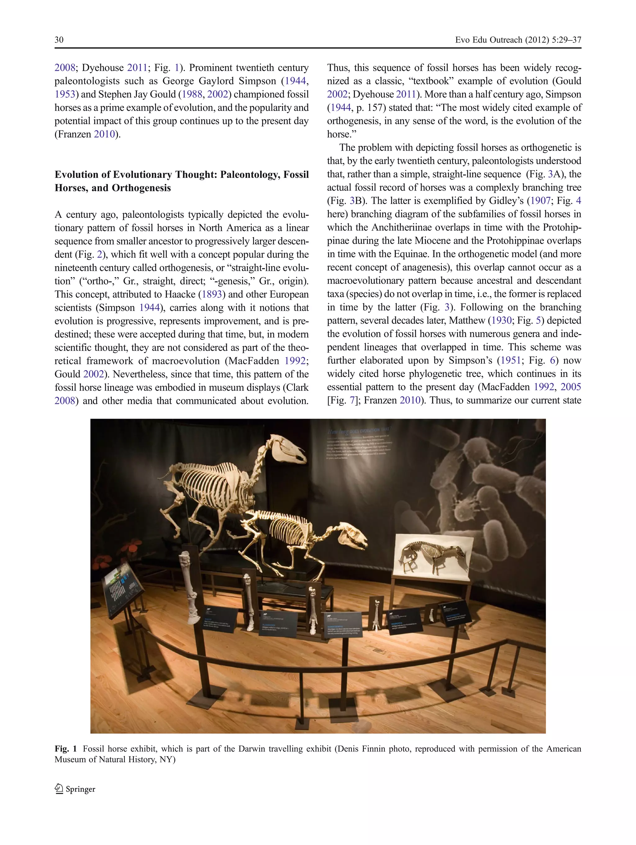 Fossil Horses, Orthogenesis, and Communicating Evolution in Museums | PDF