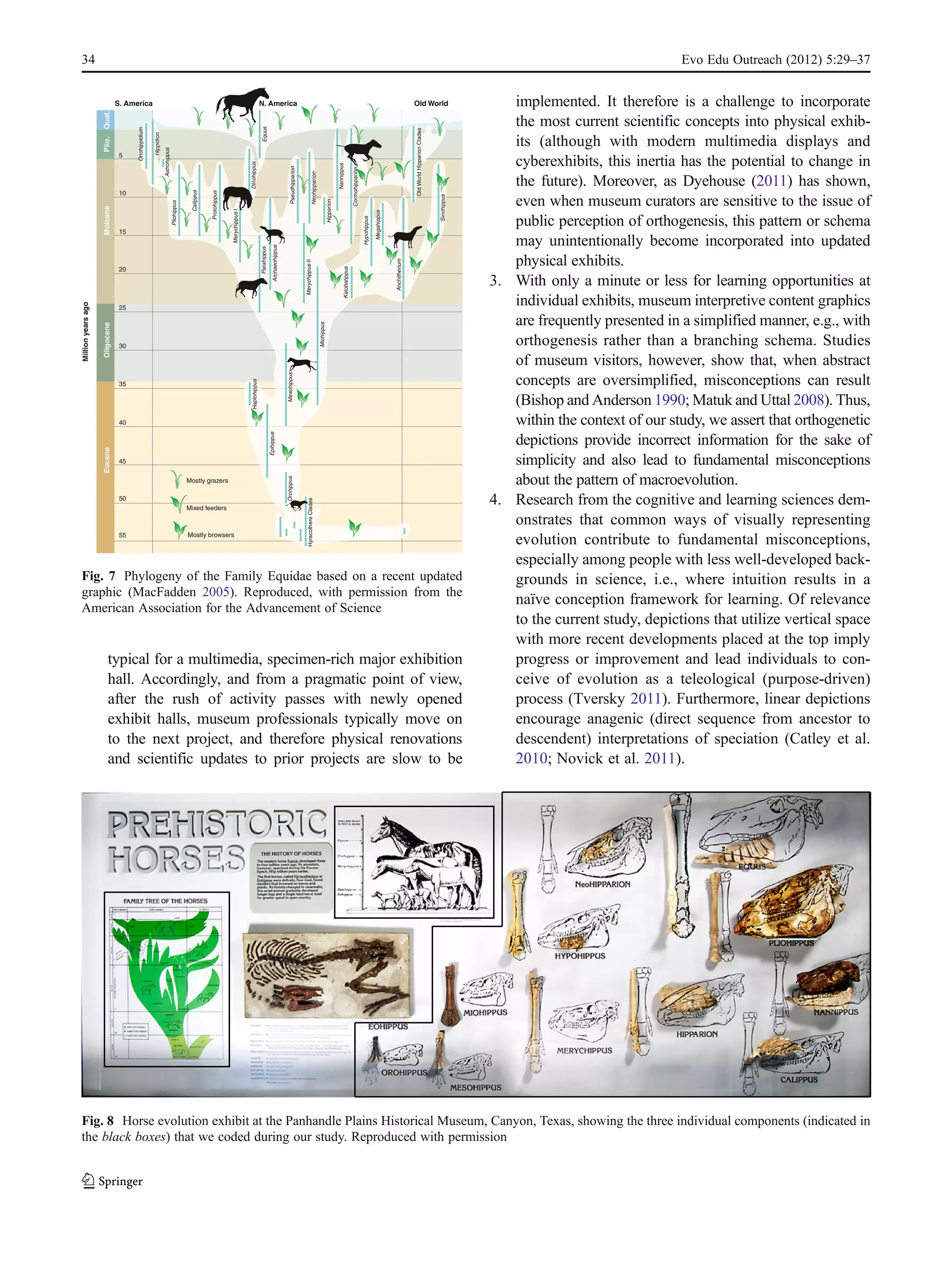 Fossil Horses, Orthogenesis, and Communicating Evolution in Museums | PDF