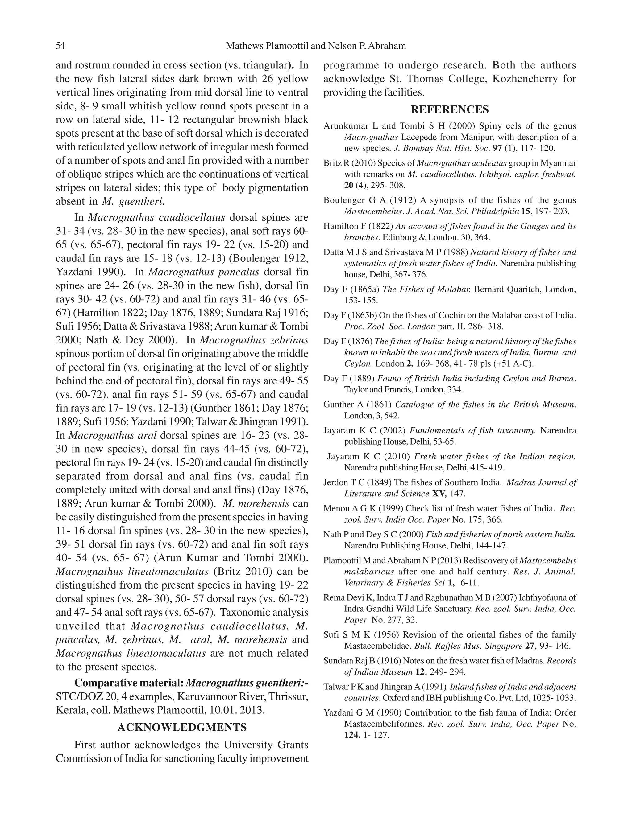 Macrognathus fasciatus, a new species | PDF