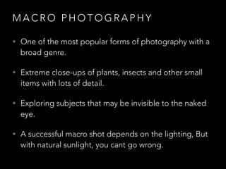 Macrography | PDF