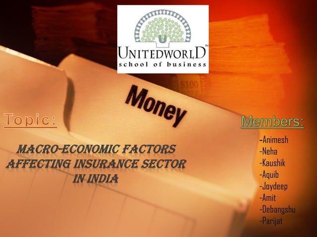 Macro insurance | PPT