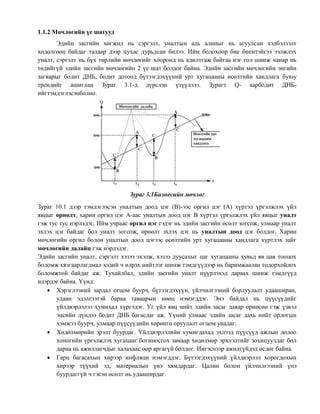 Macro l 9 | PDF