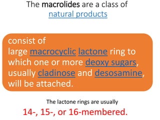 Macrolide antibiotics | PPT
