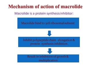 MACROLIDE.pptxpharmacypharmacpharmacypharm | PPTX