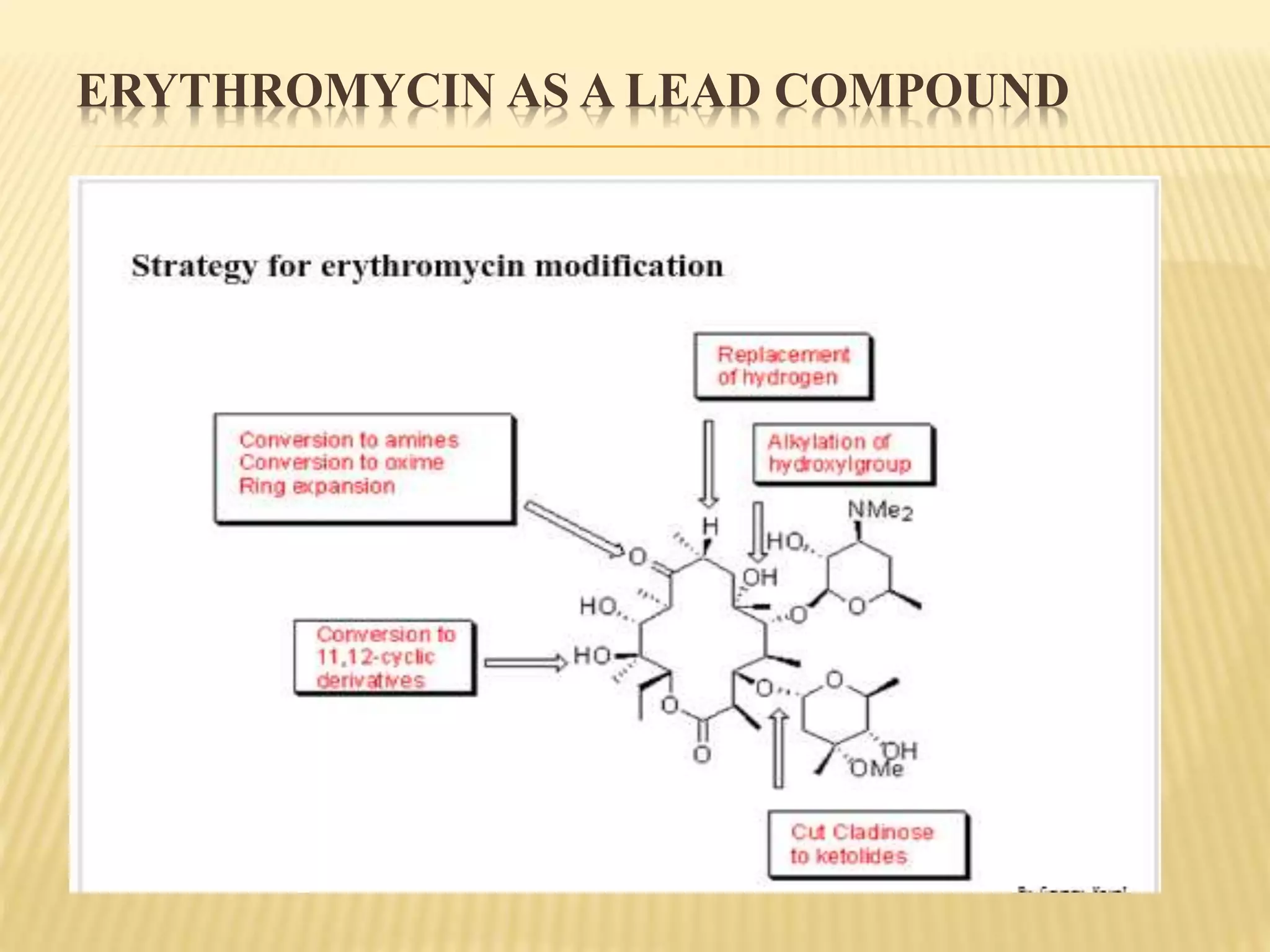 Macrolide antibiotic | PPTX