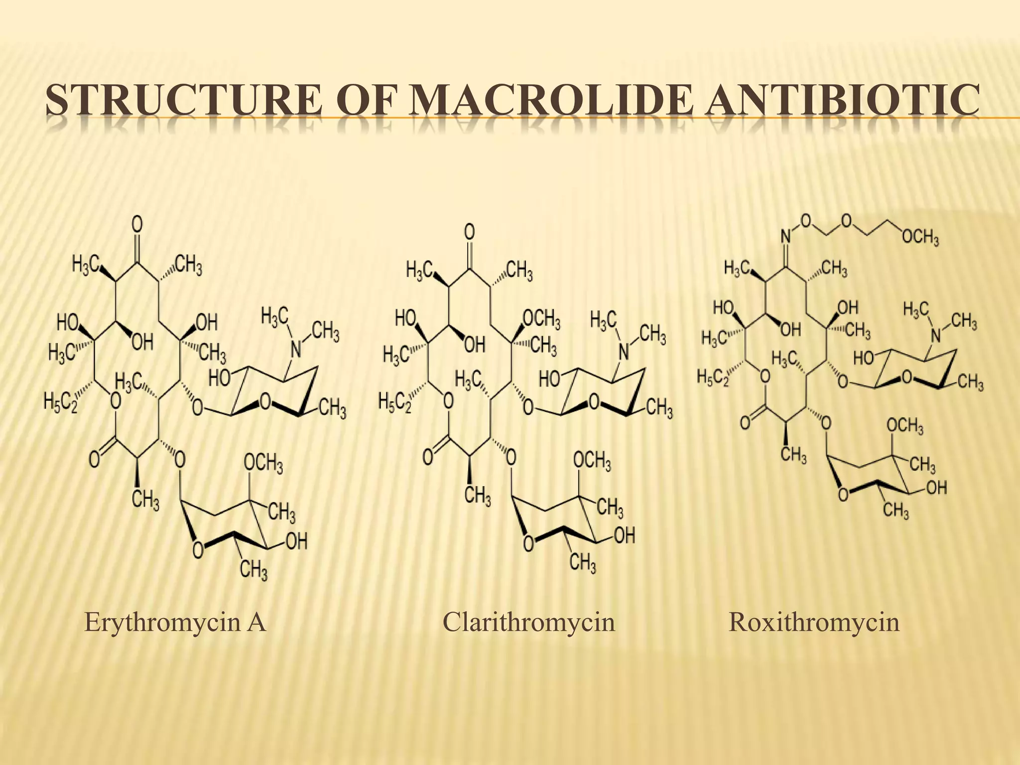 Macrolide antibiotic | PPTX