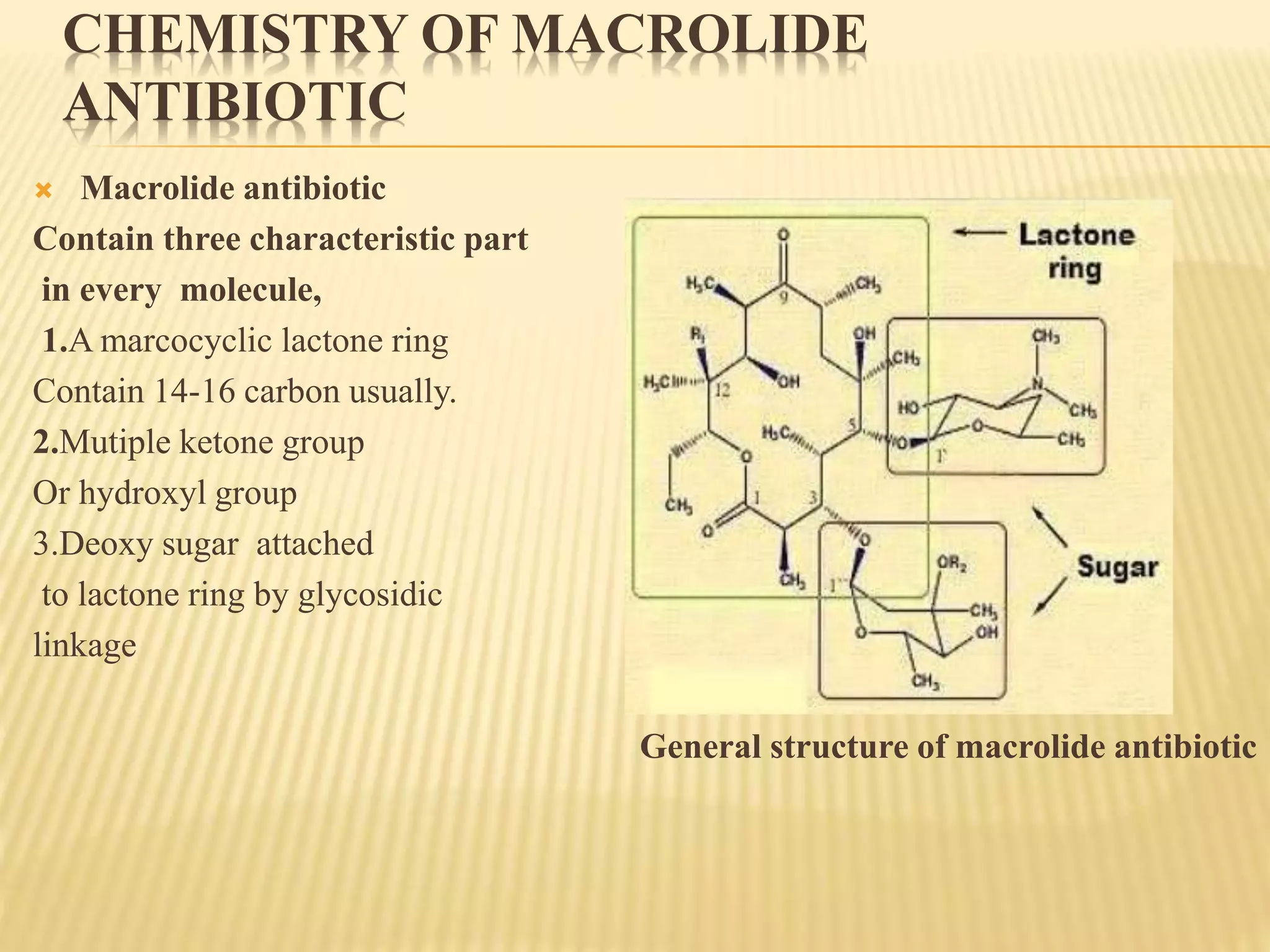 Macrolide antibiotic | PPTX