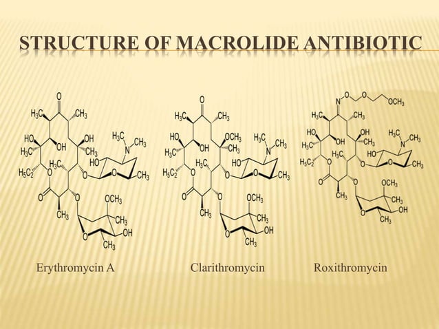 Macrolide antibiotic | PPTX | Chemistry | Science
