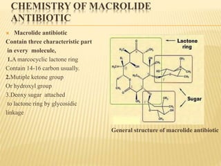 Macrolide antibiotic | PPTX