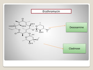 Macrolide antibiotic | PPT