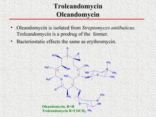 Macrolide antibiotics | PPT