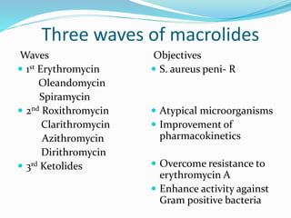 Macrolide antibiotics | PPTX