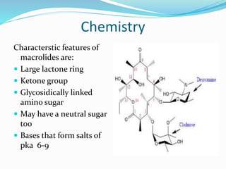 Macrolide antibiotics | PPTX