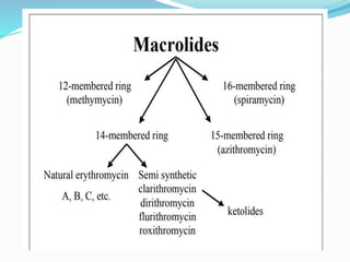 Macrolide antibiotics | PPTX | Chemistry | Science