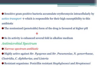 Macrolide Antibiotics | PPTX