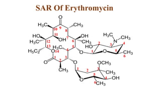 Macrolide antibiotics | PPTX