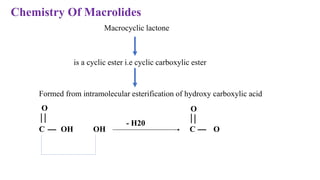 Macrolide antibiotics | PPTX