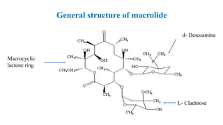 Macrolide antibiotics | PPTX