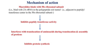 Macrolide antibiotics | PPTX