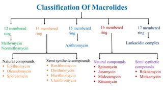 Macrolide antibiotics | PPT