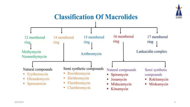 MACROLIDE ANTIBIOTICS.pptx