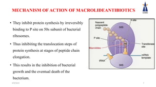 MACROLIDE ANTIBIOTICS.pptx
