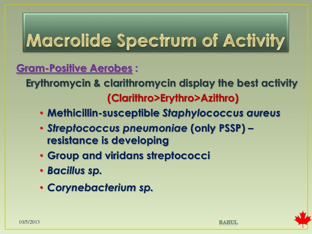 Macrolide (l)