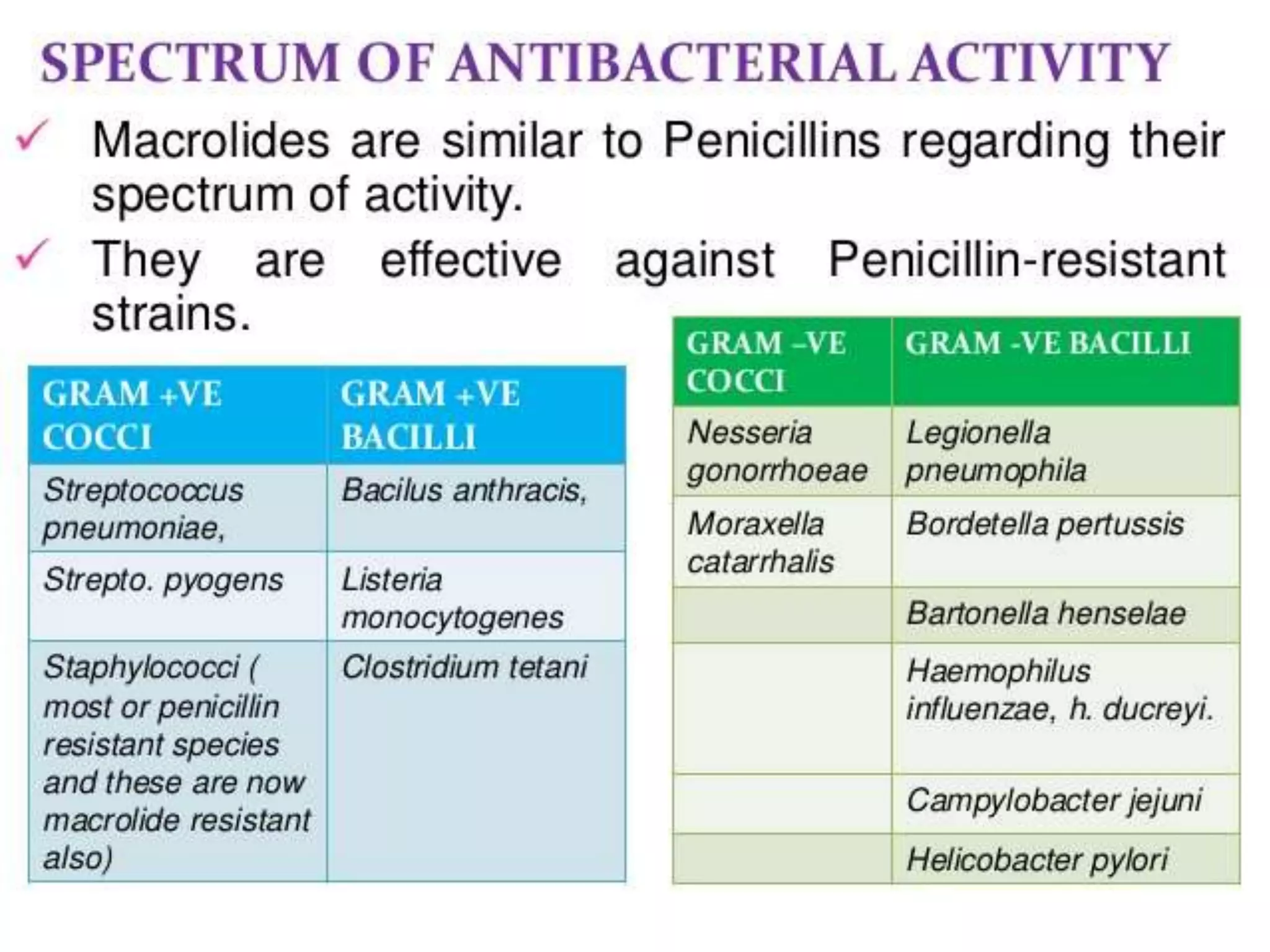 Macrolide antibiotics by Dr. TAUSEEF HAIDER | PPT