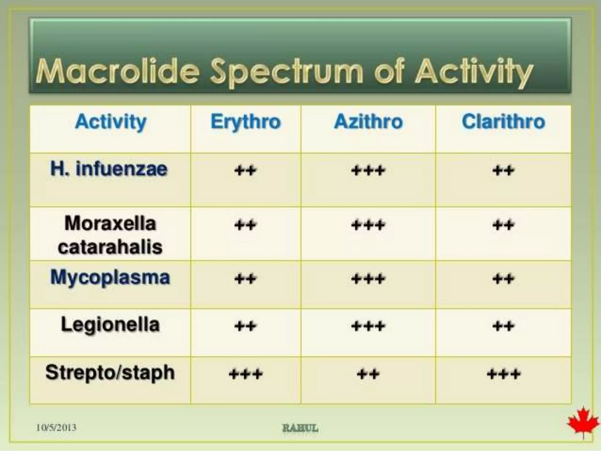 Macrolide antibiotics by Dr. TAUSEEF HAIDER | PPT
