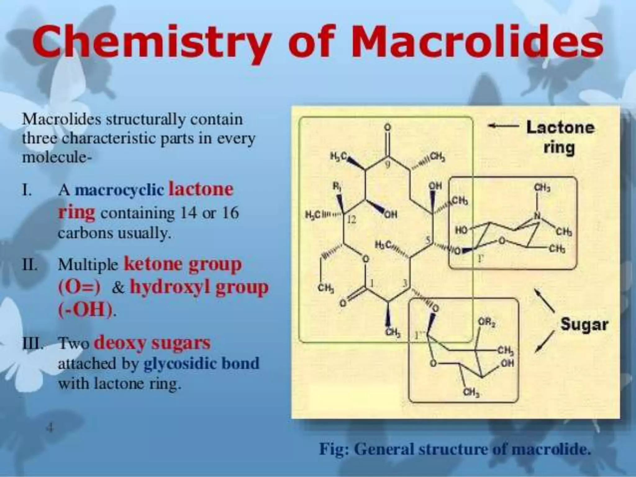 Macrolide antibiotics by Dr. TAUSEEF HAIDER | PPT