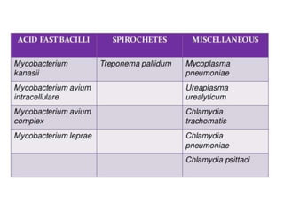 Macrolide antibiotics by Dr. TAUSEEF HAIDER | PPT