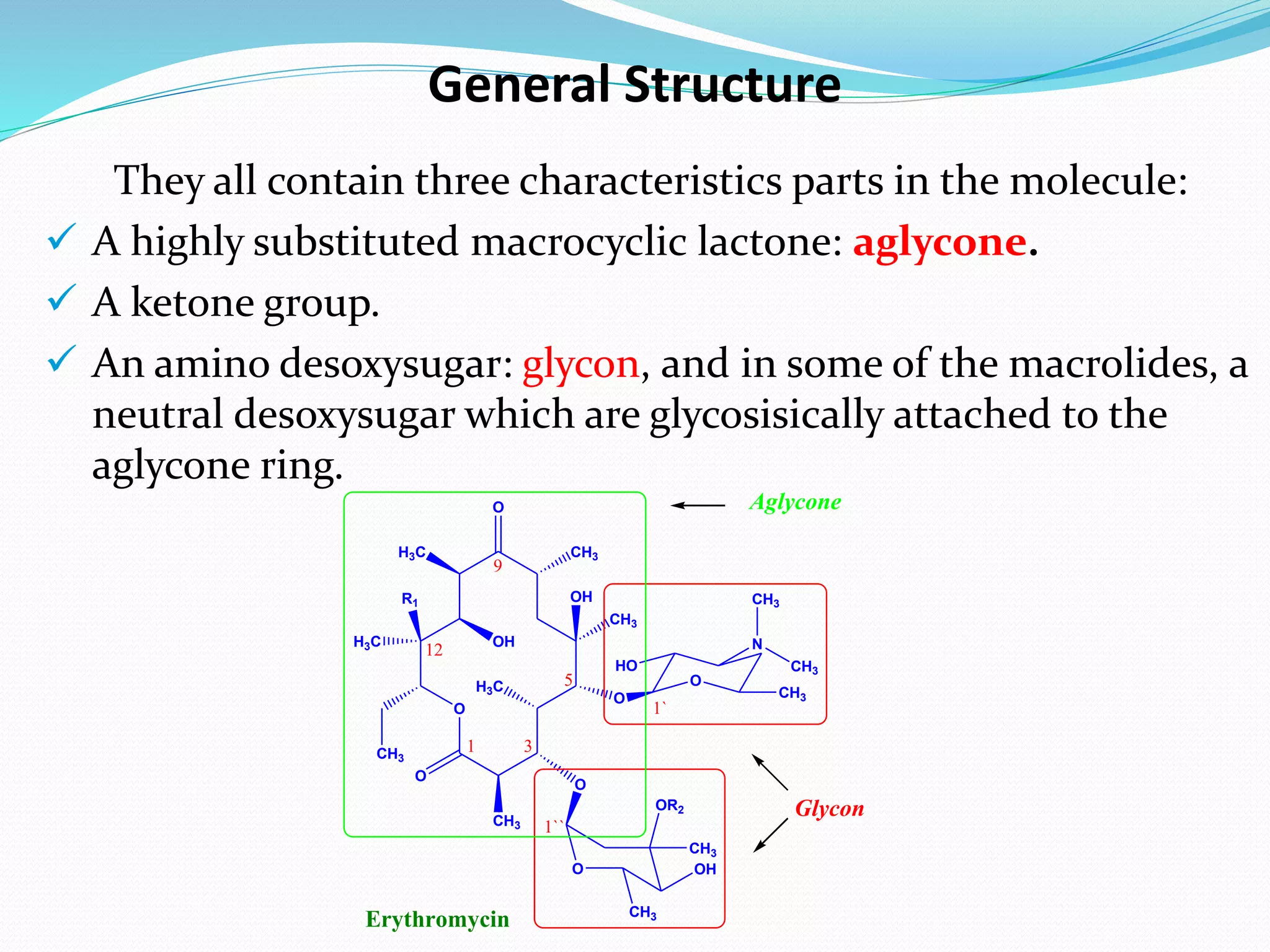 Macrolides | PPTX