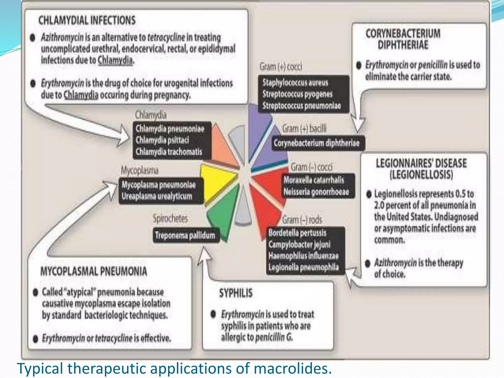 Macrolides | PPTX