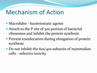 Macrolides | PPTX