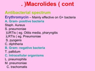 Macrolides | PPT | Digestive Disorders | Diseases and Conditions