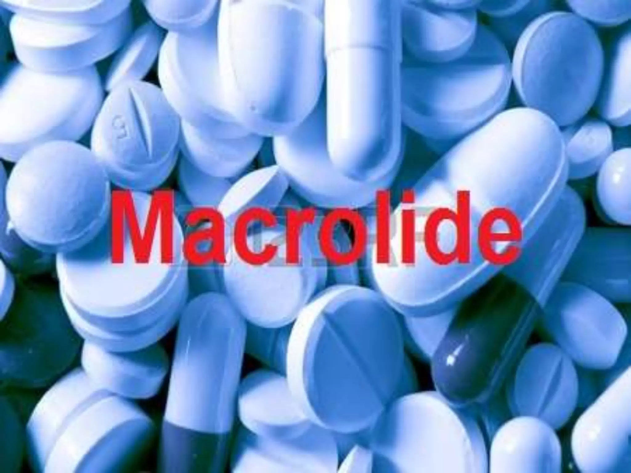 Macrolides | PPTX