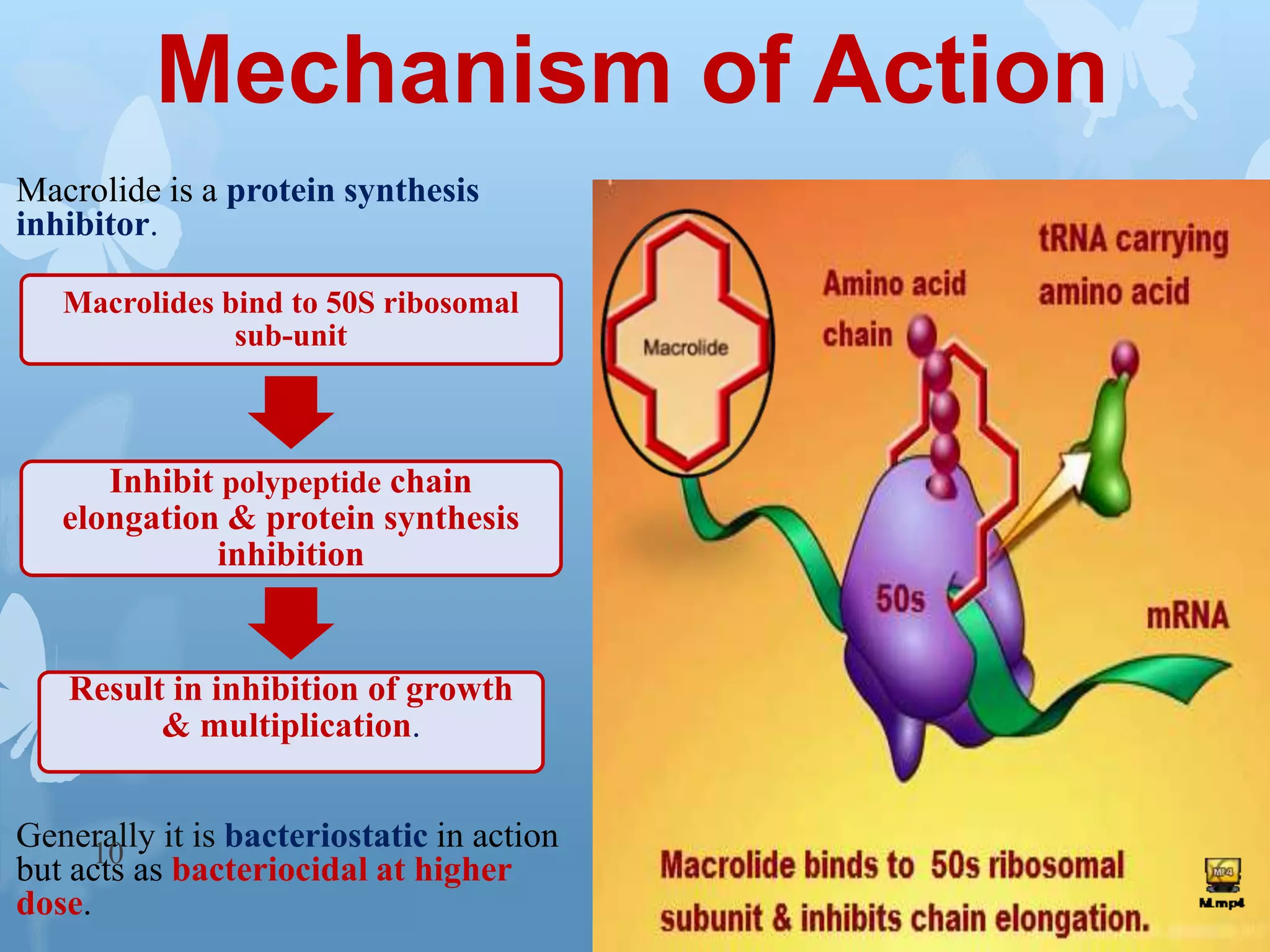 Macrolides | PPTX