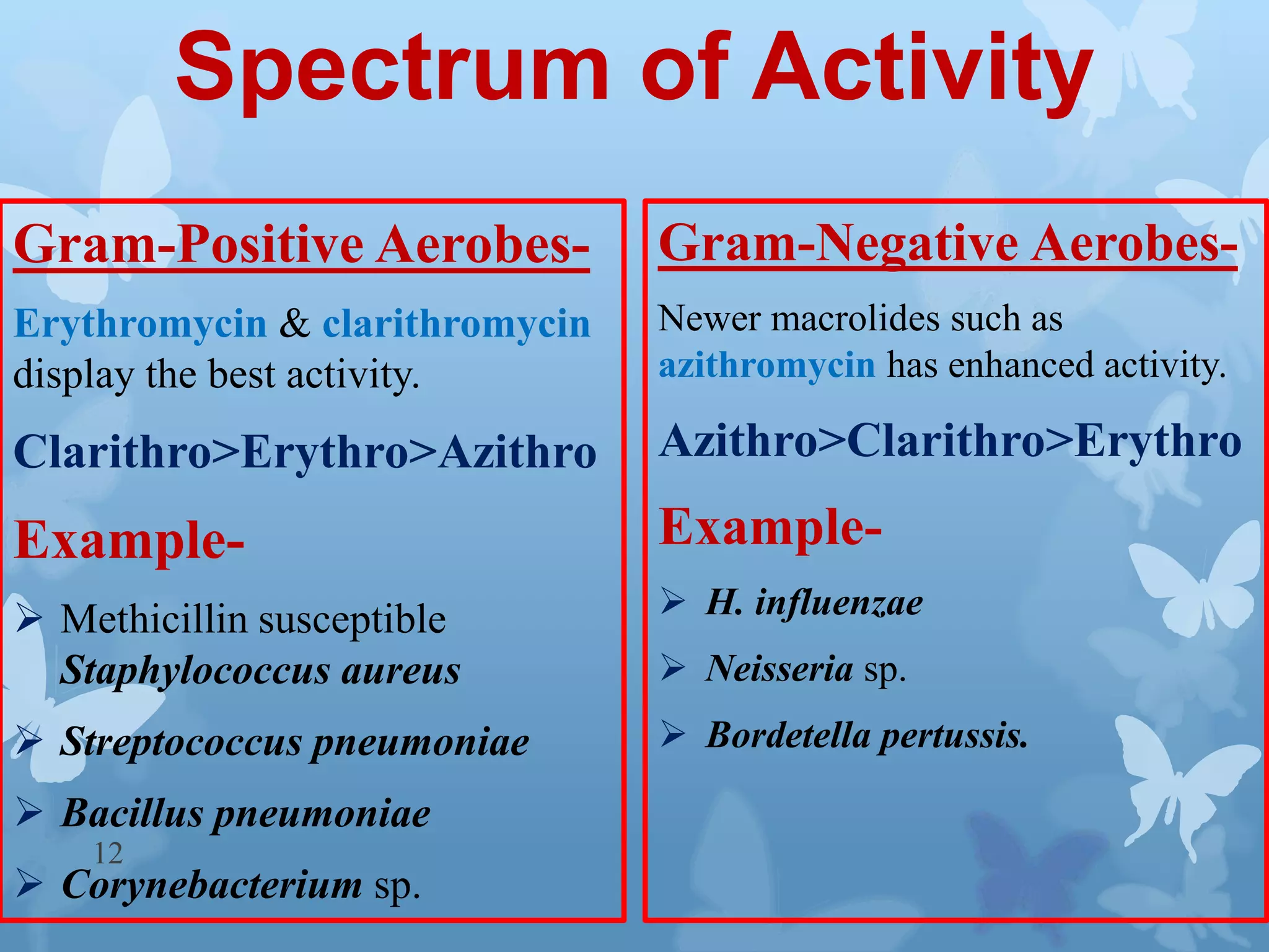 Macrolides | PPTX