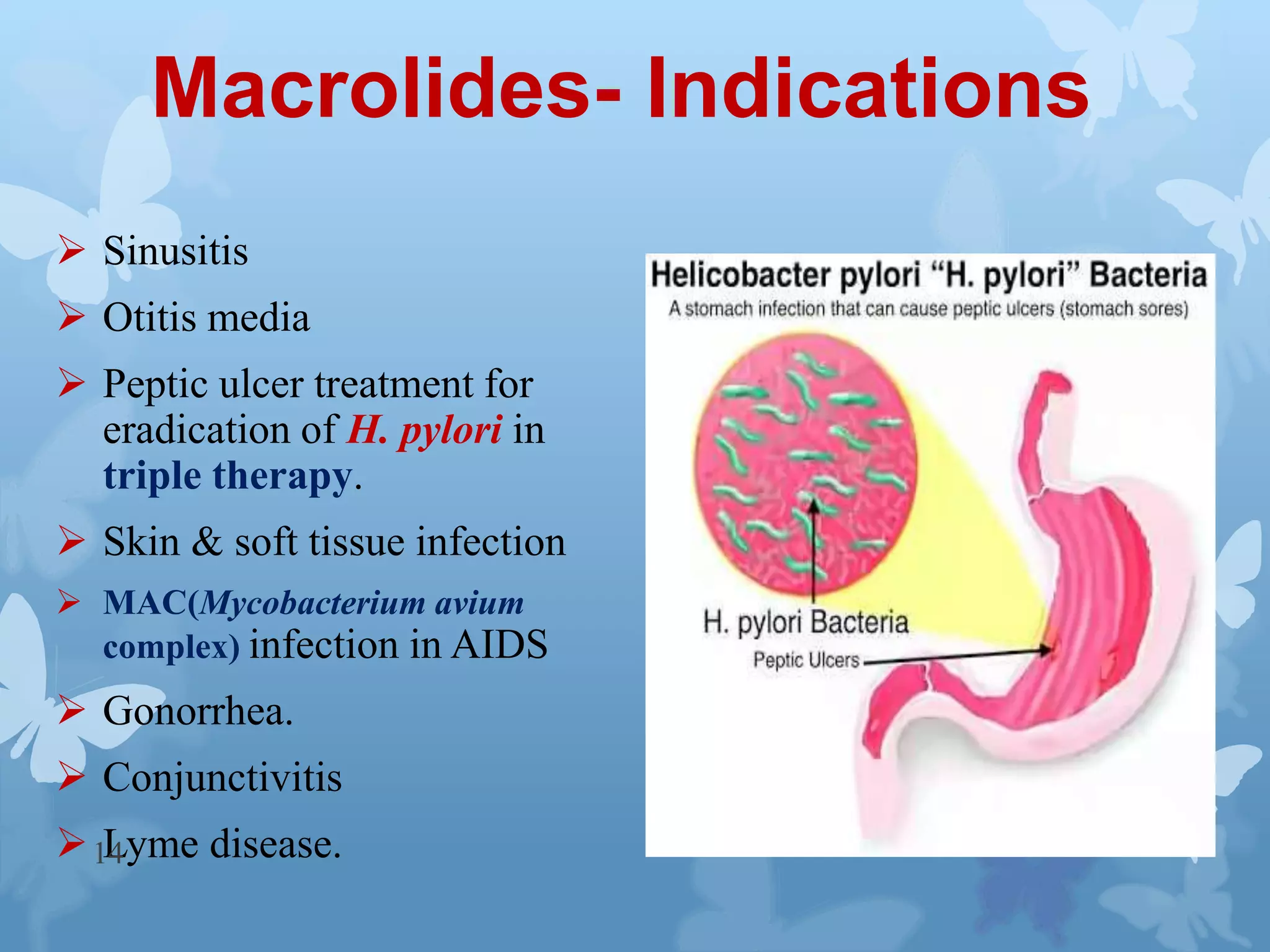 Macrolides | PPTX