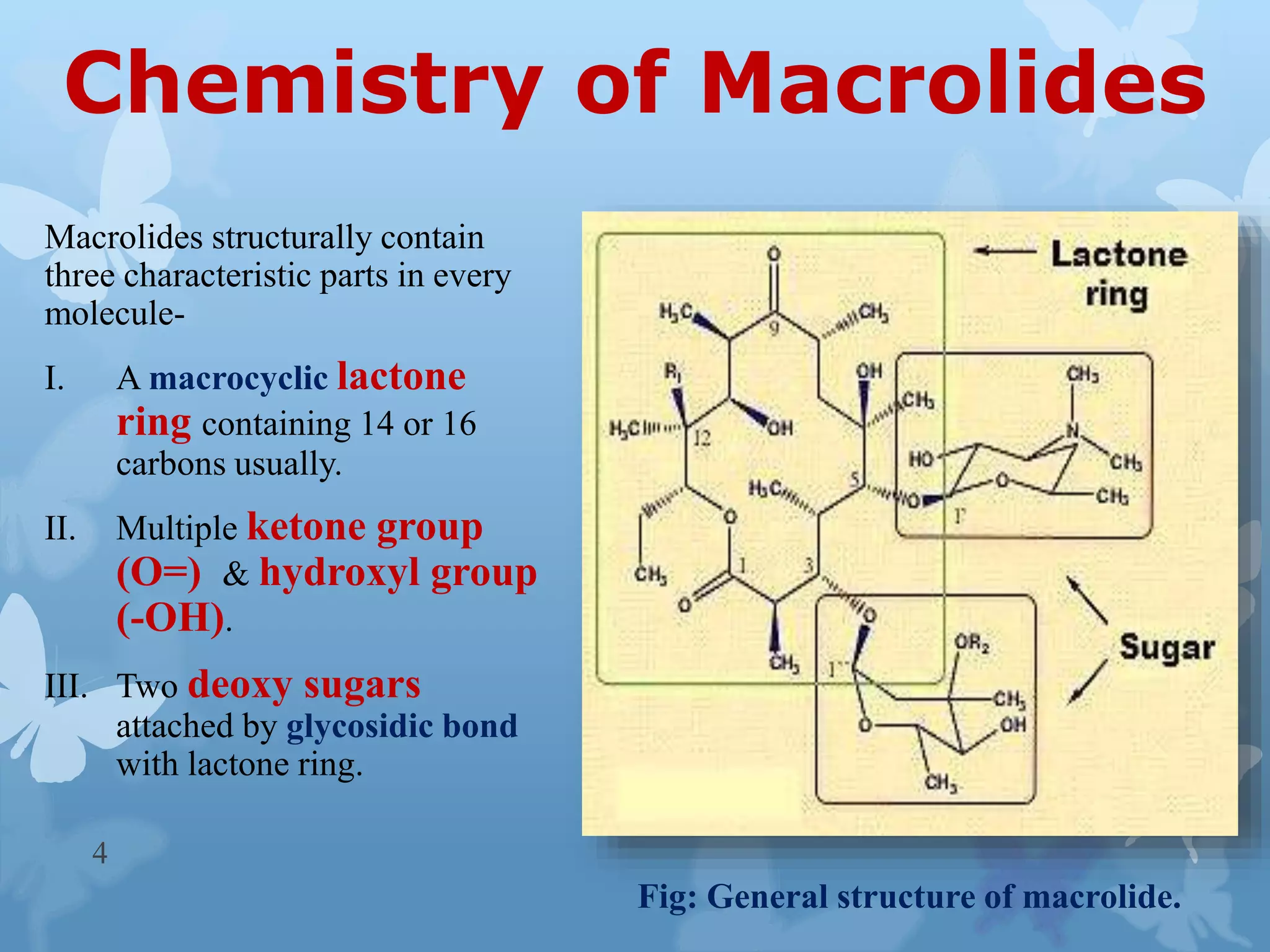 Macrolides | PPTX