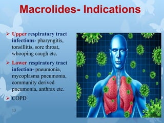Macrolides | PPTX