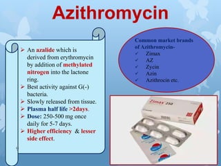 Macrolides | PPTX