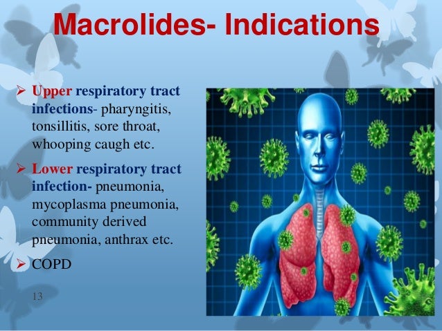 Macrolides