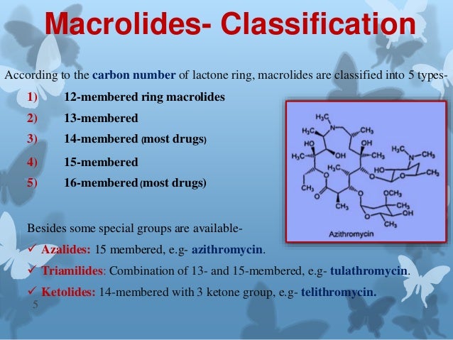 Macrolides