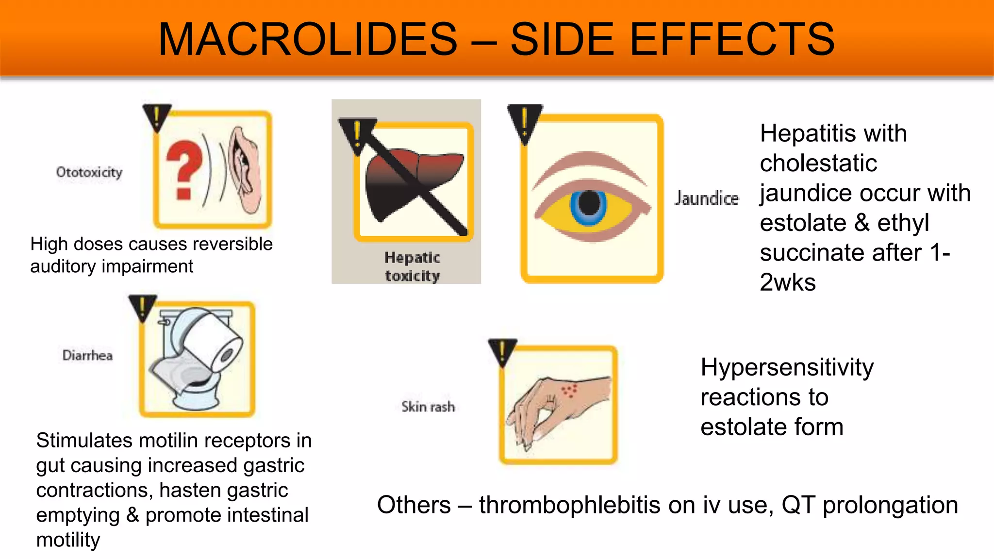Macrolides | PPTX
