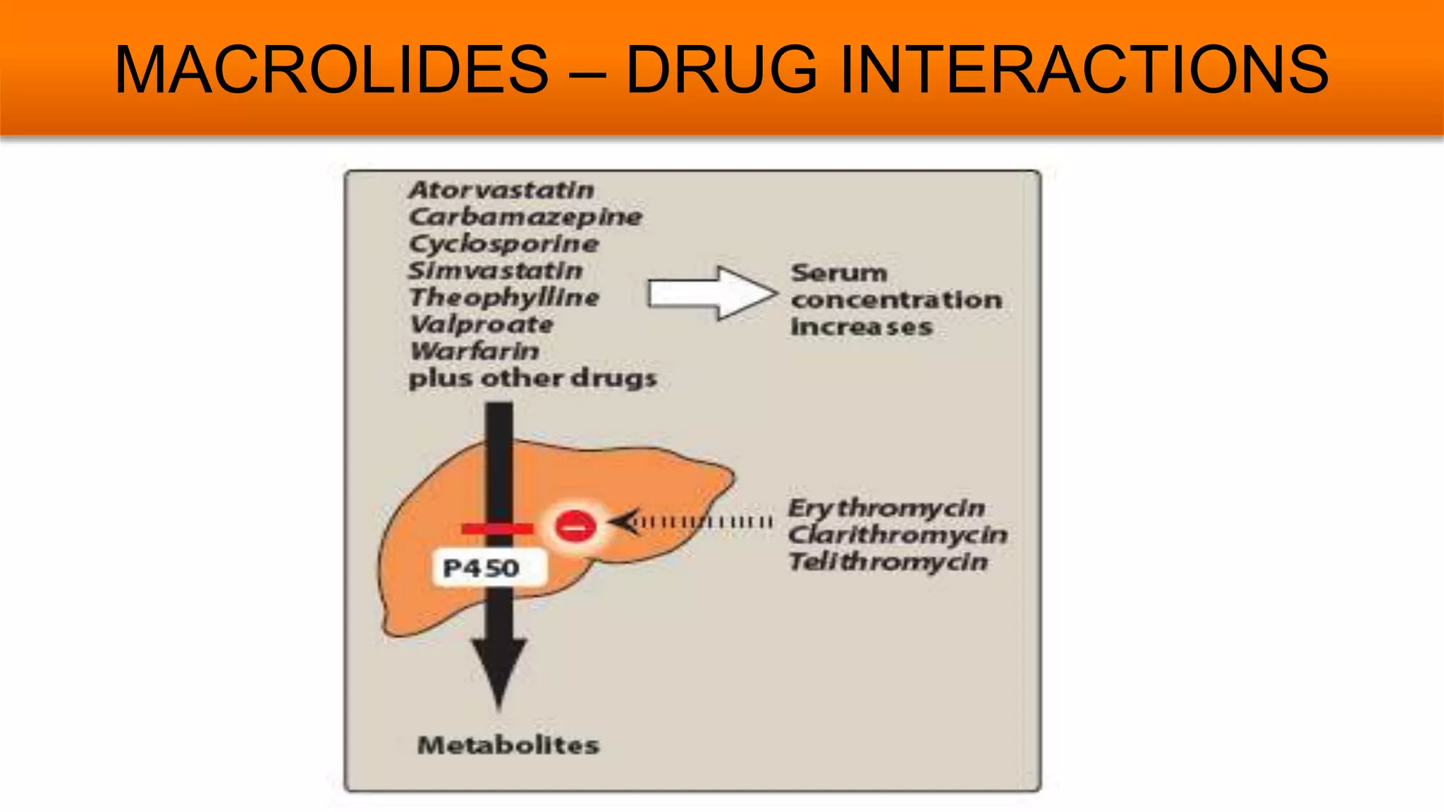 Macrolides | PPTX