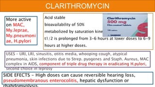 Macrolides | PPTX