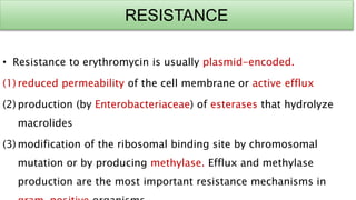 Macrolides | PPTX